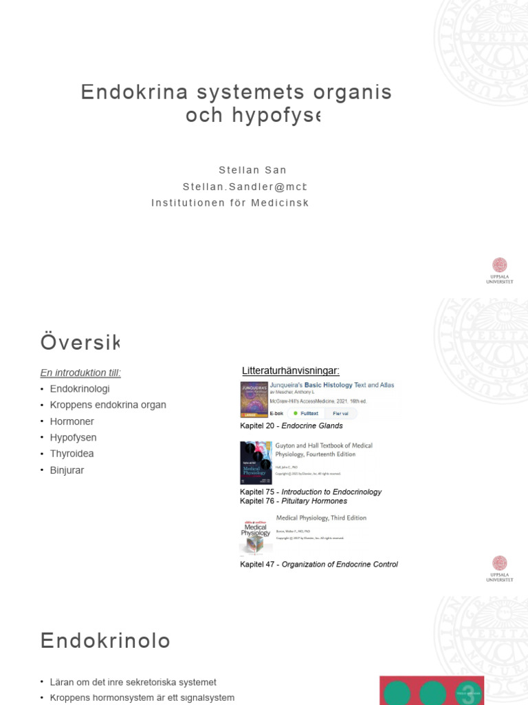 Endokrina Systemets Organisation-1 | PDF