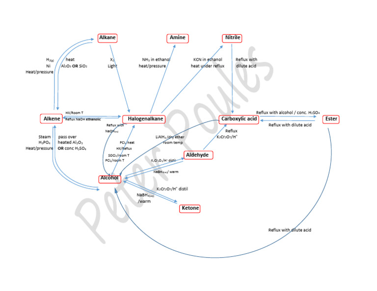 Orgaic Digram | PDF | Science & Mathematics