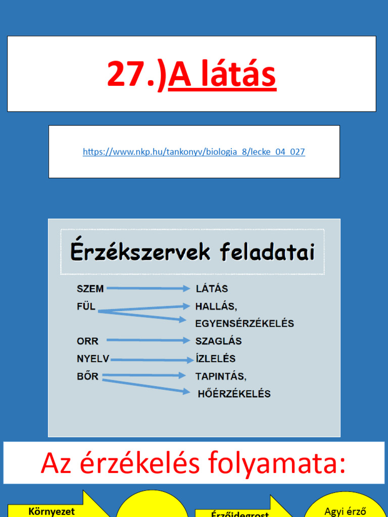 27.) A látás.klik202958001#390331#Tanulo#358618#Csatolmany | PDF