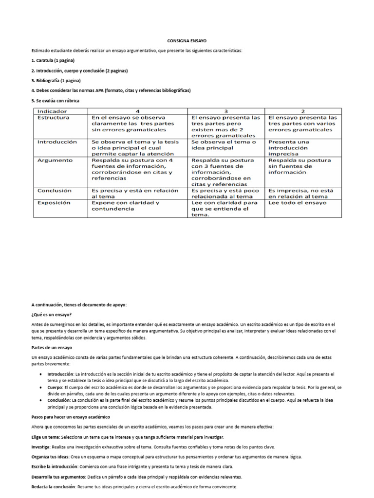 Consigna Ensayo | PDF | Ensayos