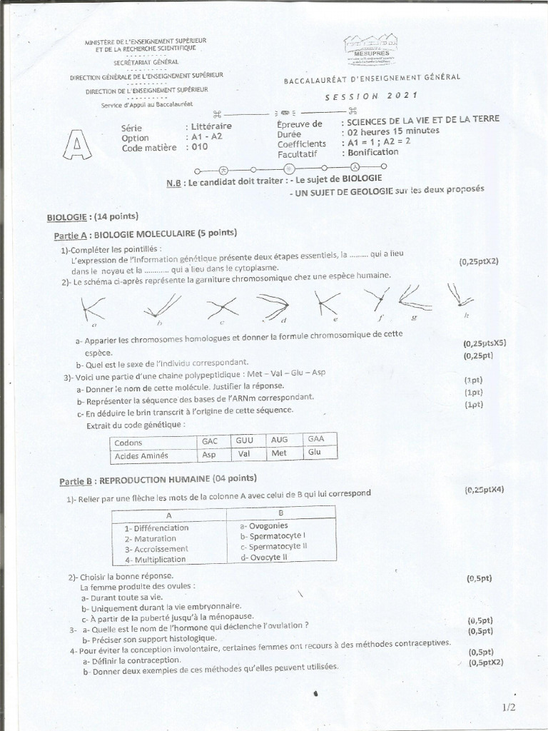 Sujet Bacc a 2021 | PDF