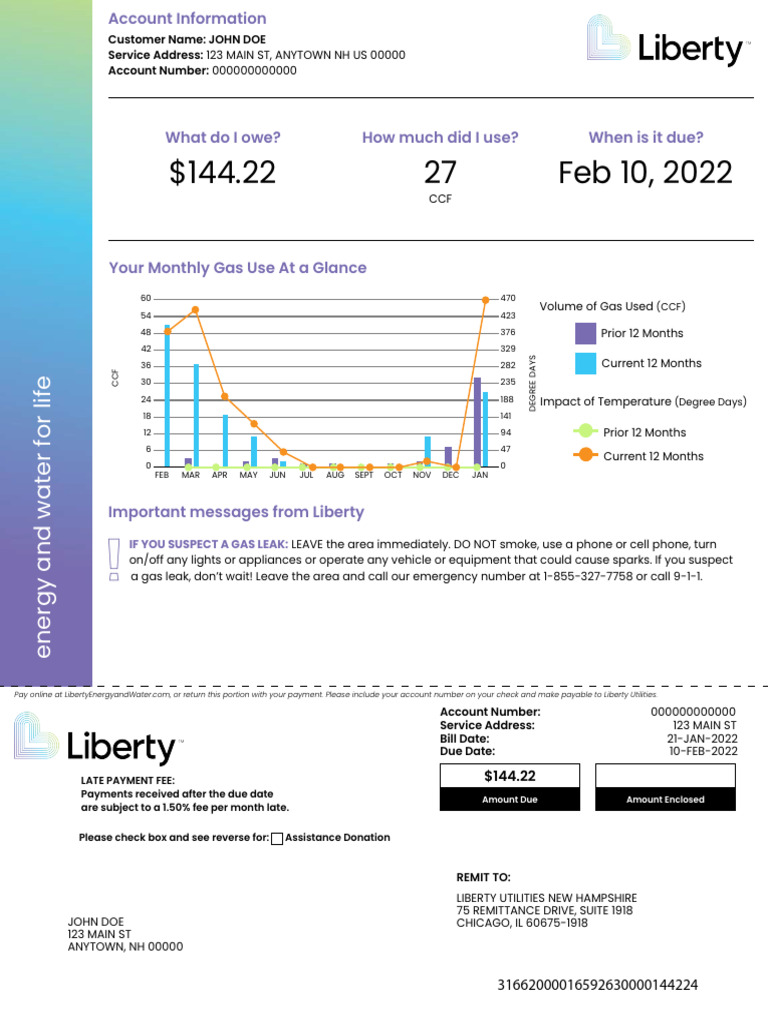 SAP Gas Bill Sample | PDF