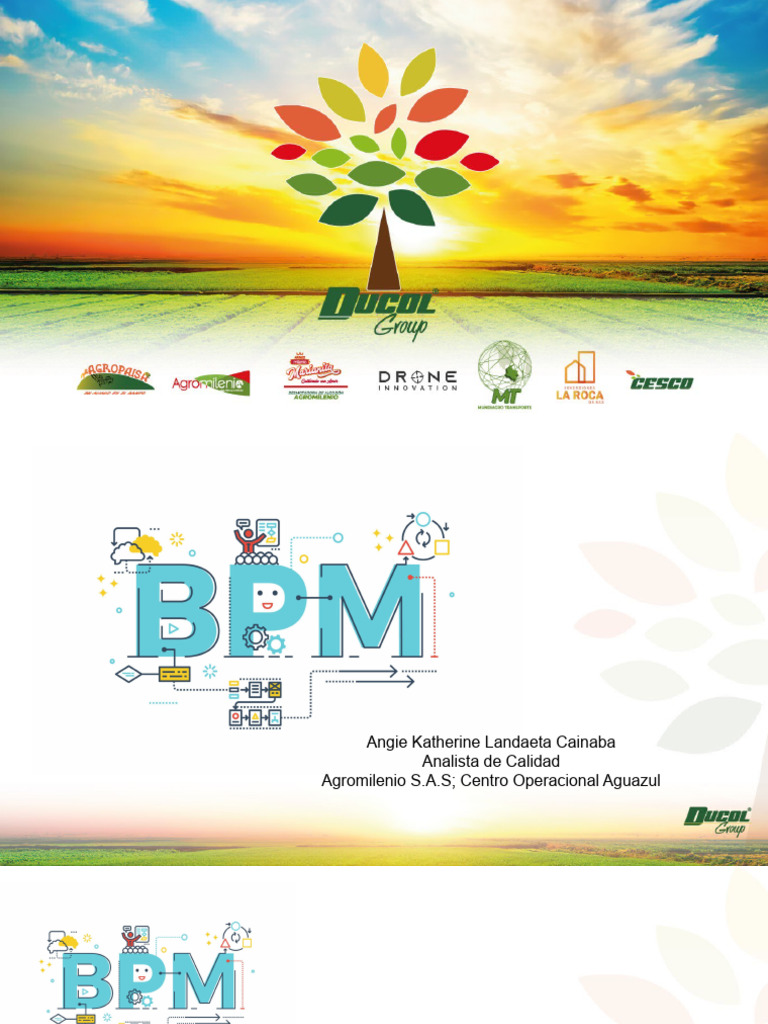 BPM | PDF | Calidad (comercial) | Alimentos