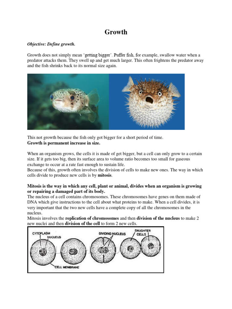 Understanding Growth and Measurement Methods | PDF | Cell (Biology ...