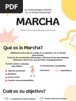Marcha Trendelenburg: Análisis y Alteraciones | PDF | Pelvis | Sistema ...