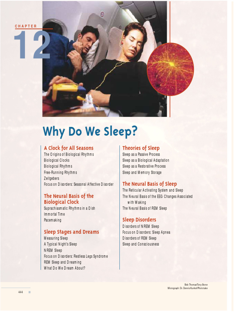 Why Do We Sleep Pdf Circadian Rhythm Sleep