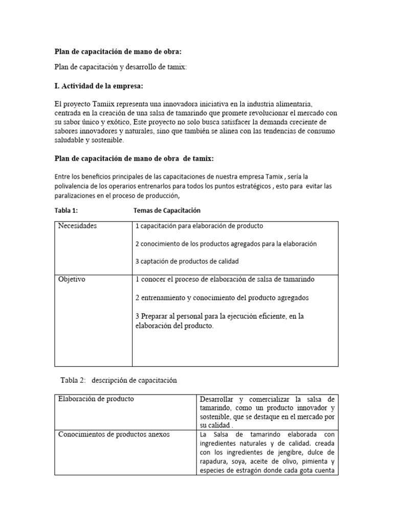 Tarea 4 Plan de Cap Mano de Obra 1tamix 18 1 | PDF | Business | Planificación
