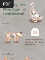 Goat Skeletal Anatomy Overview | PDF | Vertebra | Vertebral Column