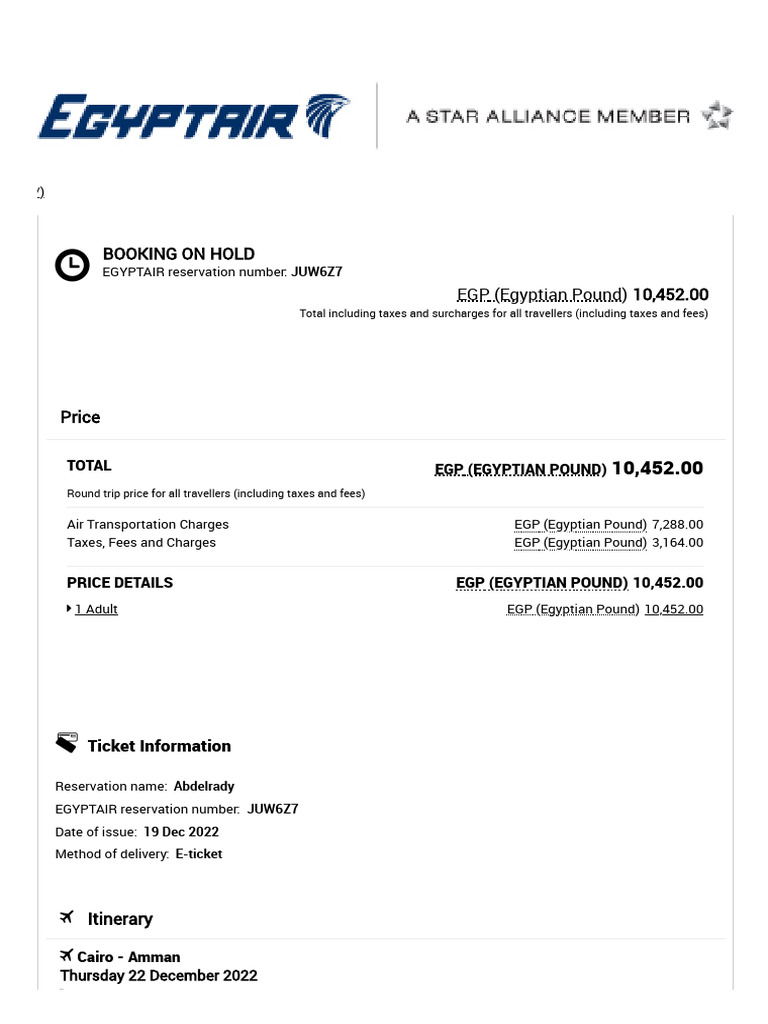 EgyptAir Baggage Allowance Details | PDF | Baggage | Fee