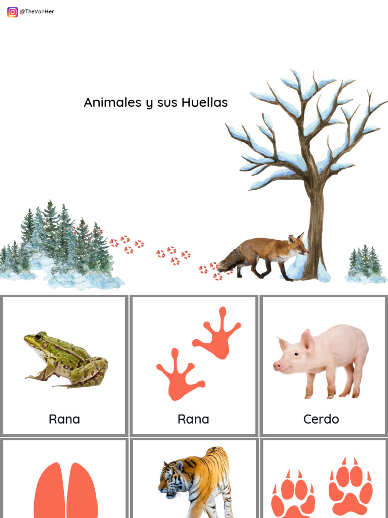 Huellas de Animales Comunes | PDF