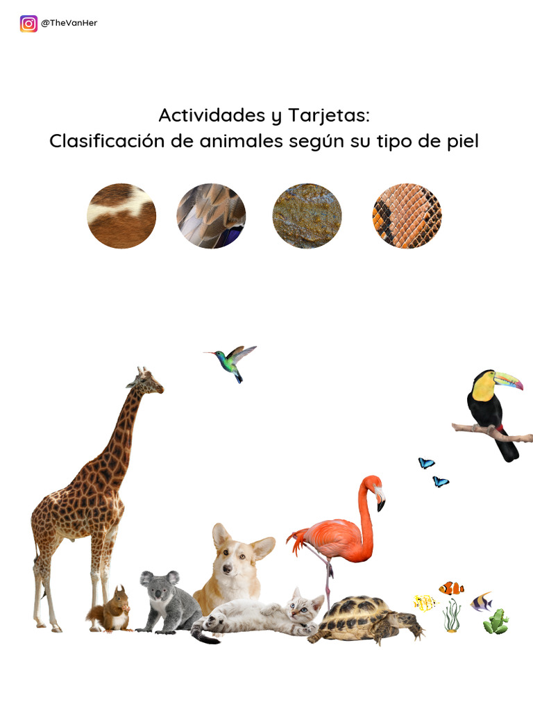 Animales - Tipo de Piel | PDF | Zoología