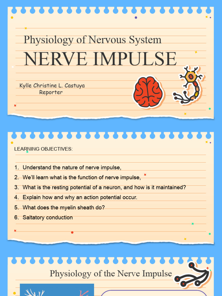 NERVE IMPULSE | Download Free PDF | Action Potential | Neuron