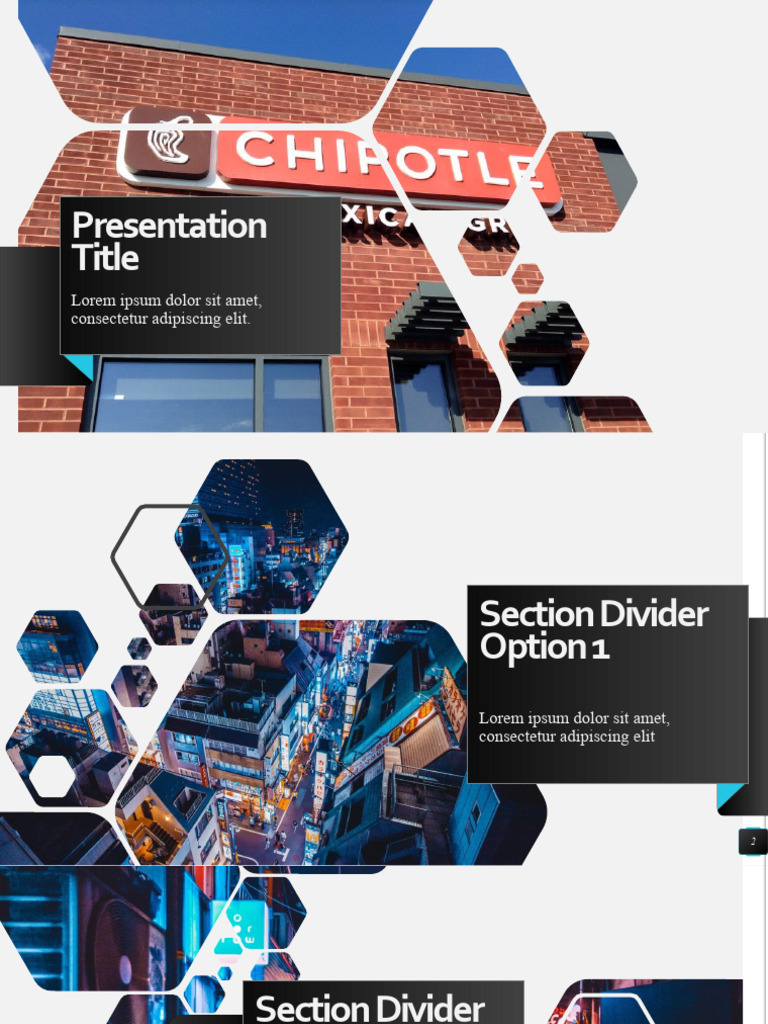 Chipotle Business Plan | PDF