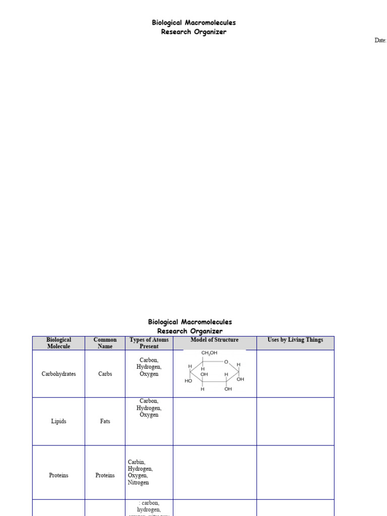 Biological Molecule Organizer Regular | PDF