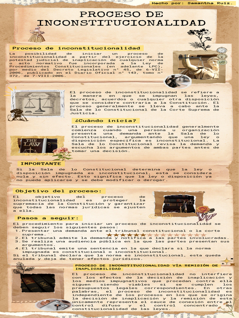 Infografia Pdf Constitución Ley Pública