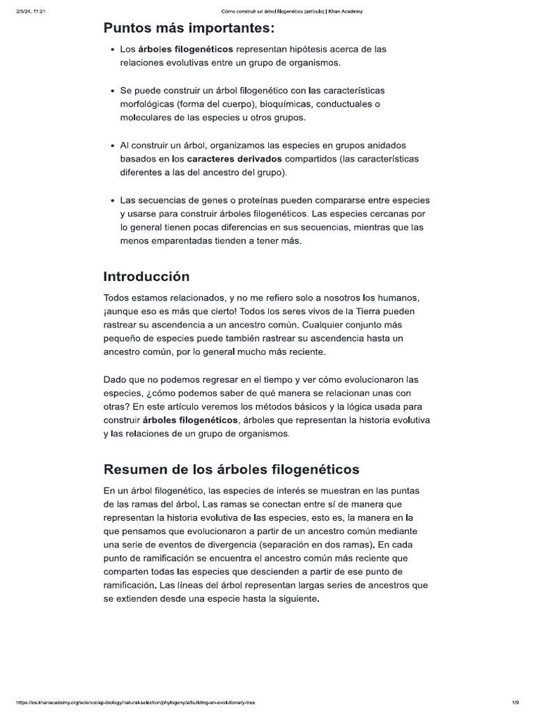 Como Hacer Una Arbol | PDF