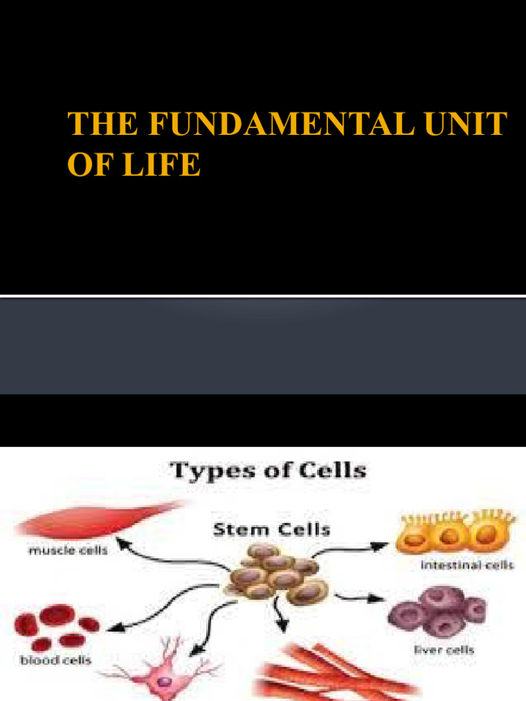 Understanding Cell Structure and Functions | PDF | Osmosis | Cell (Biology)