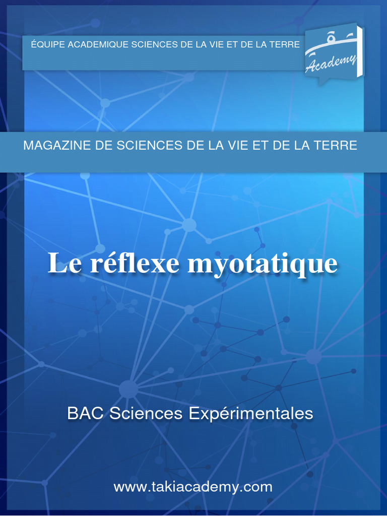 Le Réflexe Myotatique | PDF | Nerf | Système nerveux