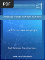 Cour Et Bilan Ppse Et Ppsi Sommation Temporelle Et Spatial | PDF ...