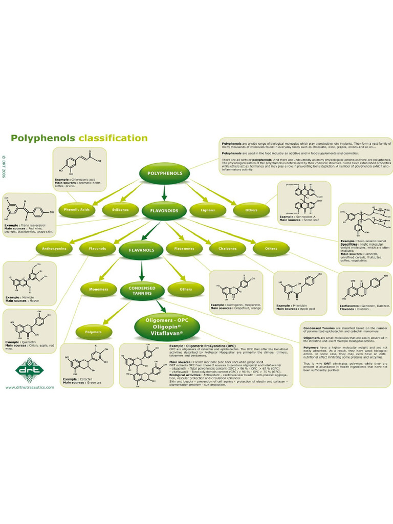 Polyphenol Classification | PDF