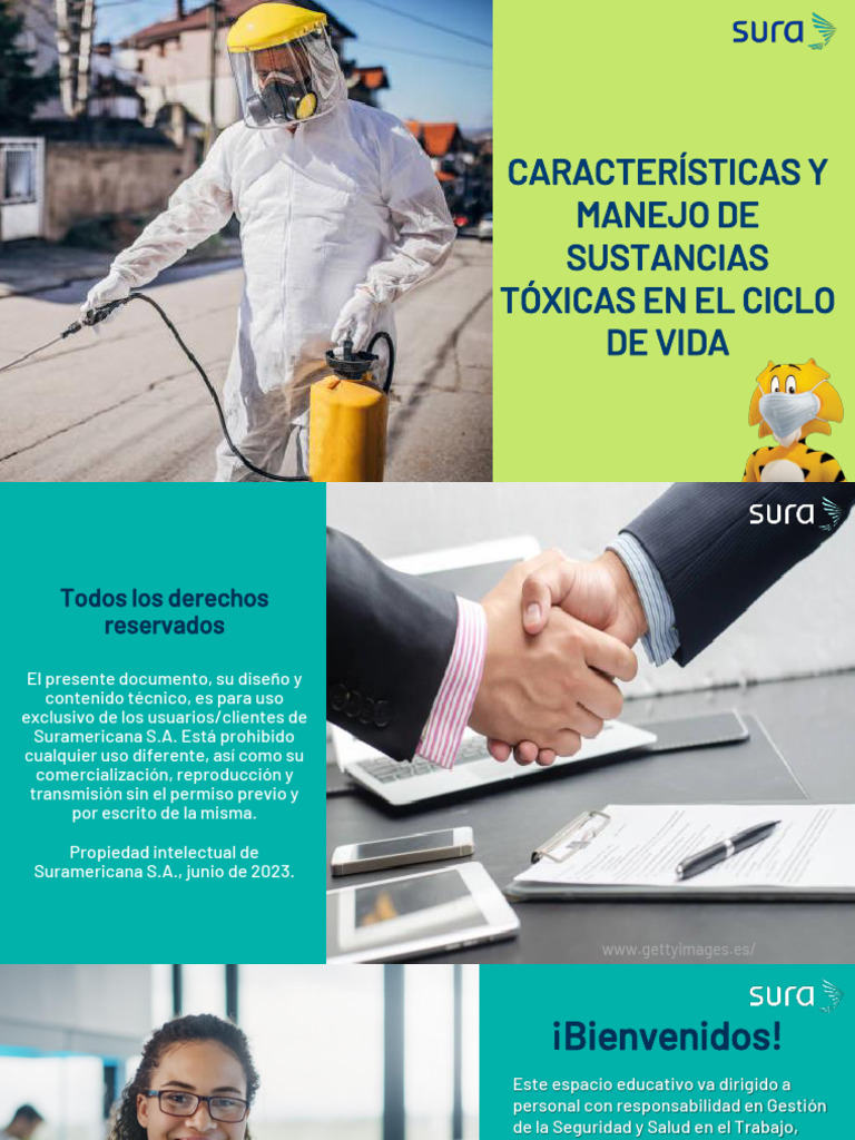 Manejo de Sustancias Tóxicas | PDF | Residuos | Toxicidad