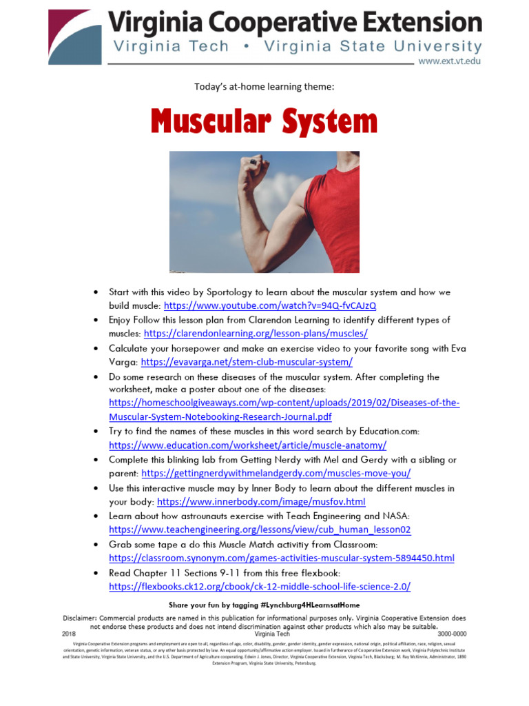 Muscular System - Research | PDF | Gender | Gender Studies