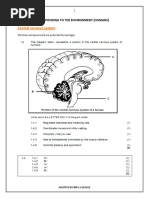 Grade 12 Year Note - New | PDF | Meiosis | Dominance (Genetics)