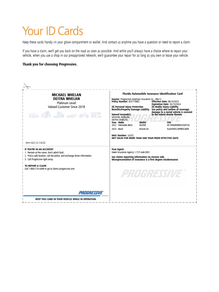 ID Card | PDF | Insurance | Vehicle Insurance