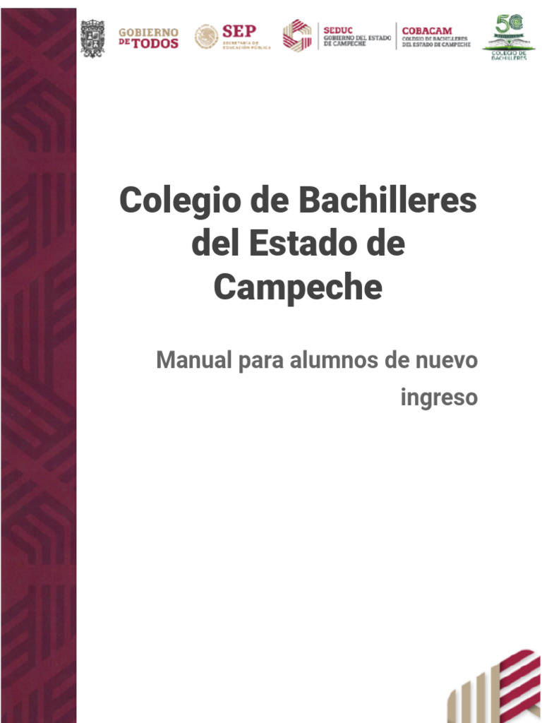 Manual Nuevo Ingreso 2024 2025 Pdf Fórmula Importar