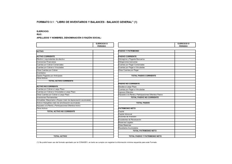 Formato ESF | PDF | Activo fijo | Valor neto