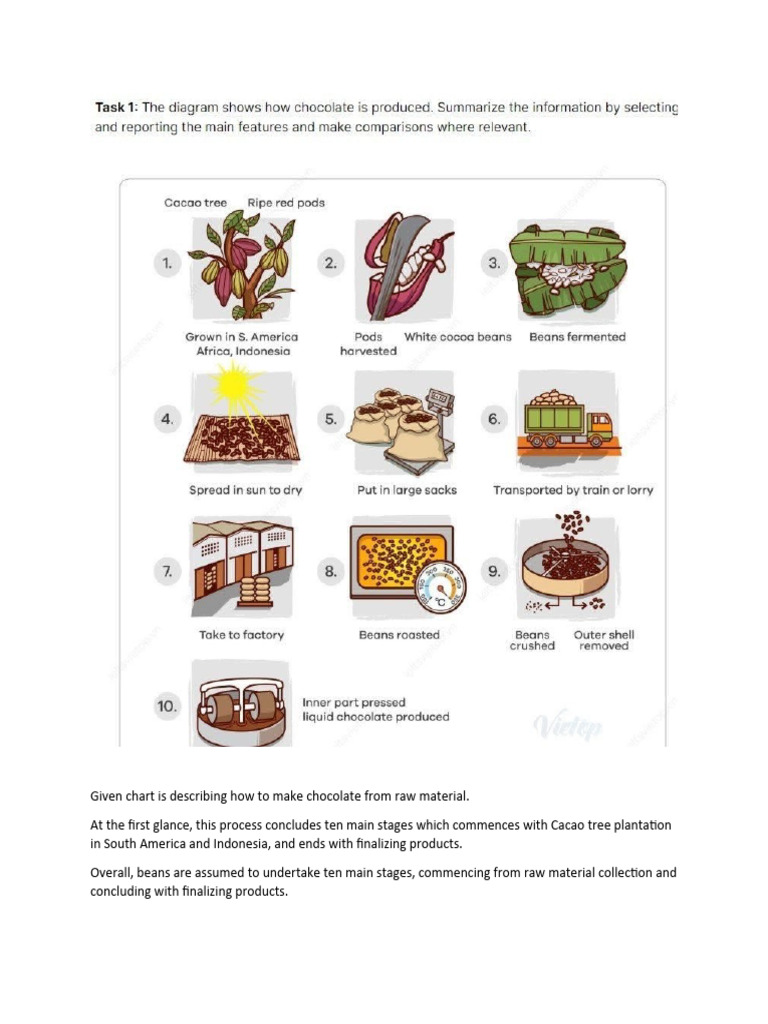 Wri1 2 | PDF | Cocoa Bean | Chocolate