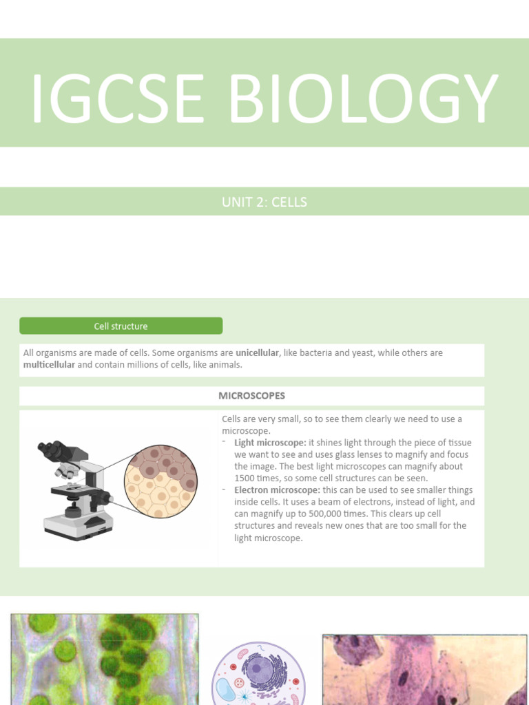 Cells | PDF | Cell (Biology) | Cytoplasm
