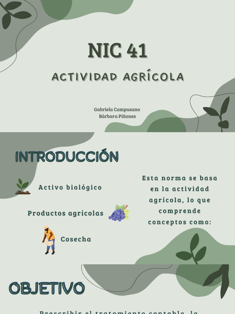 NIC 41: Contabilidad Agrícola | PDF | Agricultura | Contabilidad