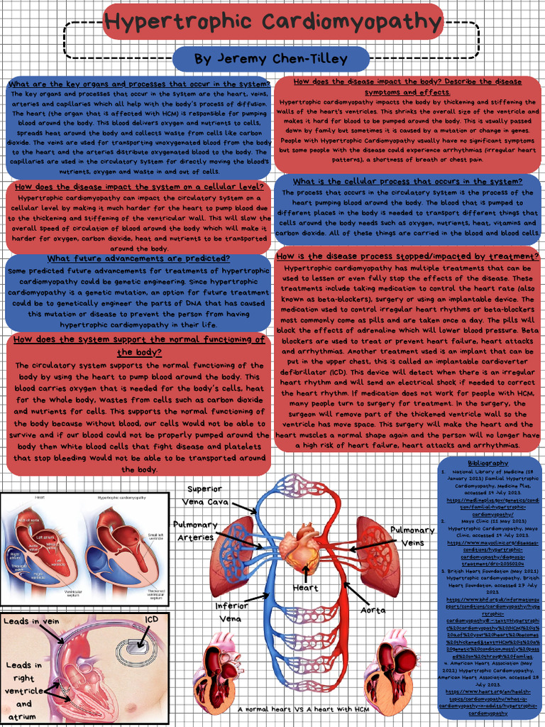 Hypertrophic Cardiomyopathy Overview | PDF | Heart | Blood