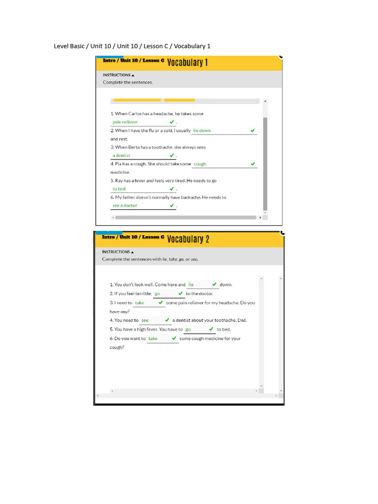 Intro - Unit 10 - Resuelto - Myelt | PDF