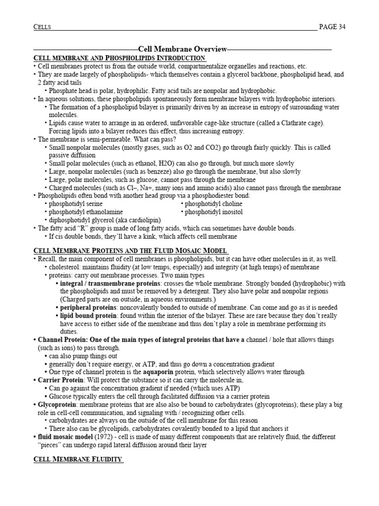 Khan Academy Notes - Cells | PDF | Endoplasmic Reticulum | Cell Membrane