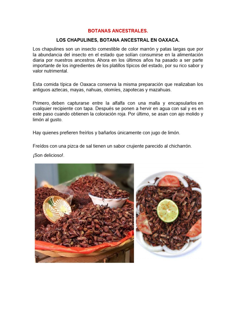 Botanas Ancestrales | PDF | Cocina, comidas y vino | Salud y bienestar