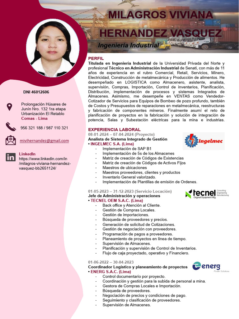 Cv_Milagros Viviana Hernandez Vasquez | PDF | Logística | Presupuesto