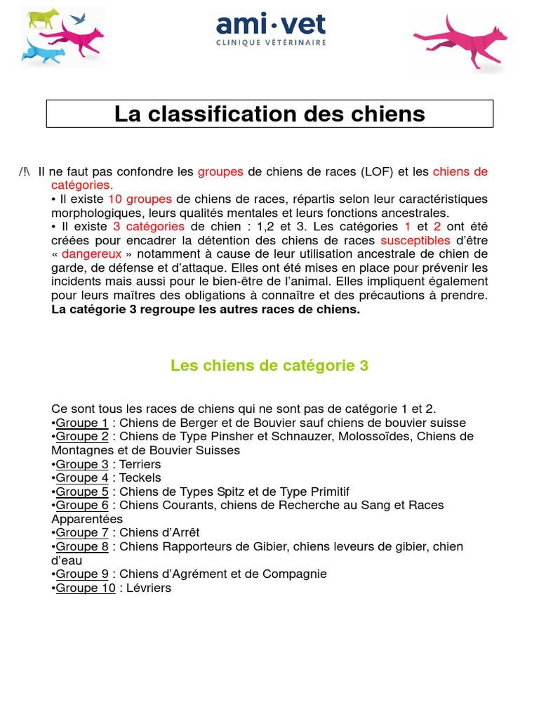Classification des chiens : groupes et catégories | PDF | Chiens | Sous ...
