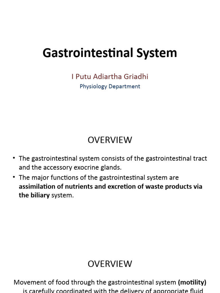 Gastrointestinal System, FK, 2013 | PDF | Digestion | Gastrointestinal ...