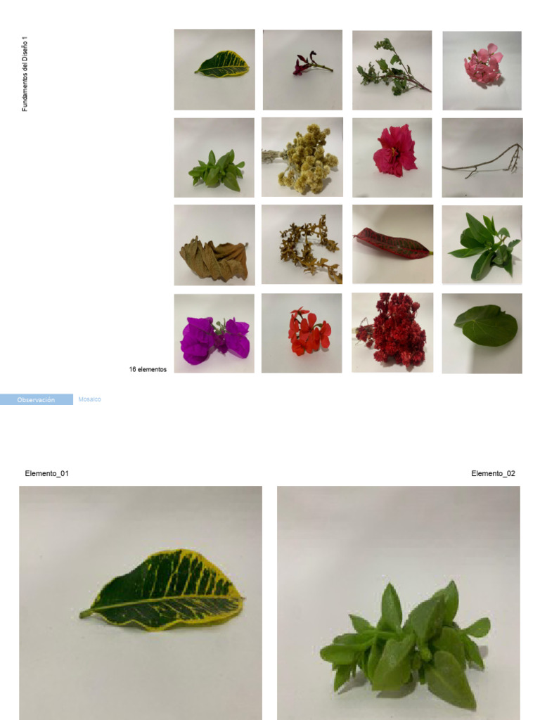 Sandra Rivas | PDF | Hoja | Color