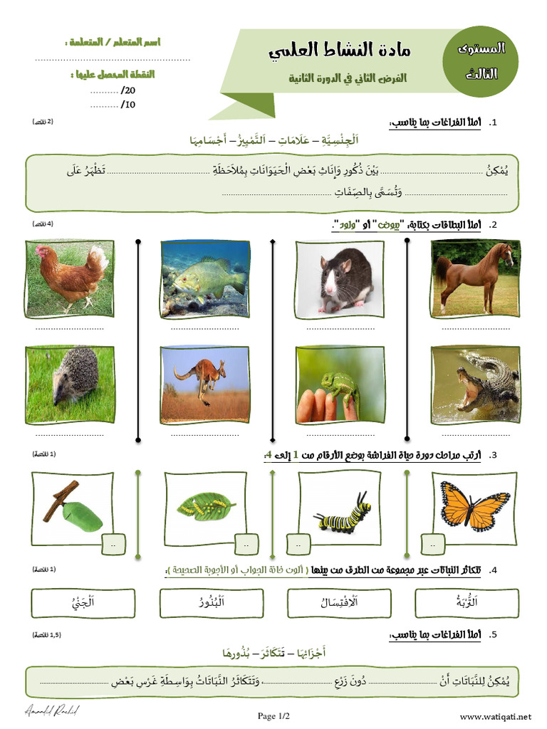 Fard 4 Eveil 3aep | PDF