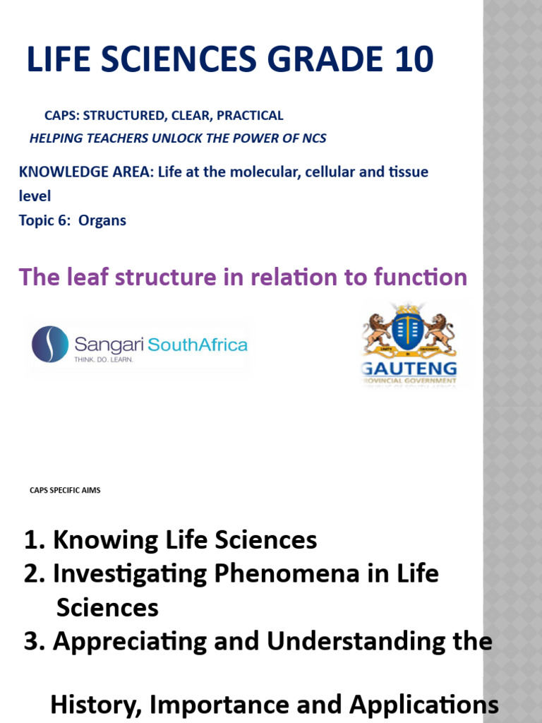 PP9. Leaf As An Organ | PDF | Leaf | Tissue (Biology)