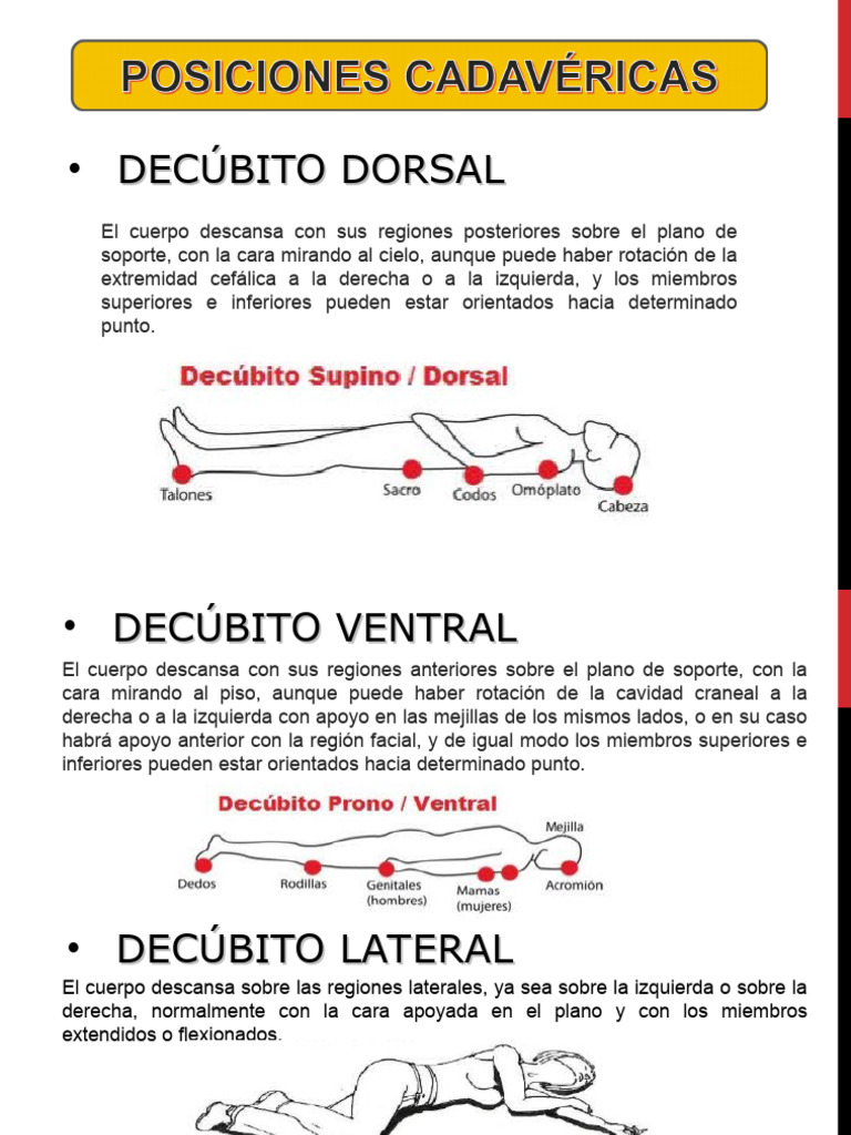 Posiciones Cadavericas y Fenomenos Cadavericos (1) | PDF | Descomposición | Cadáver