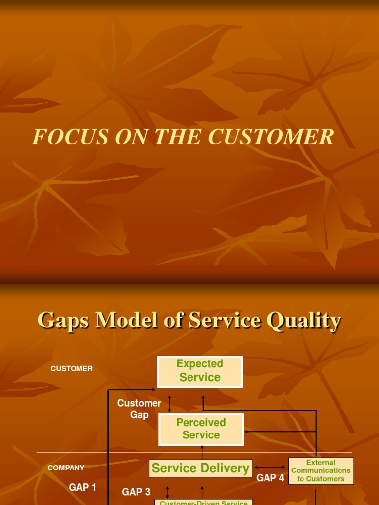 Focus On The Customer | PDF | Consumer Behaviour | Behavior