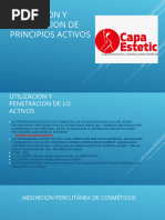 Absorcion Cutanea | PDF | Piel | Absorción (Química)