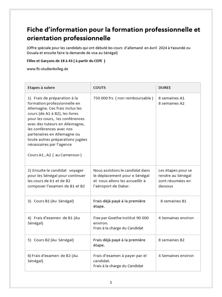 Formation professionnelle en Allemagne | PDF
