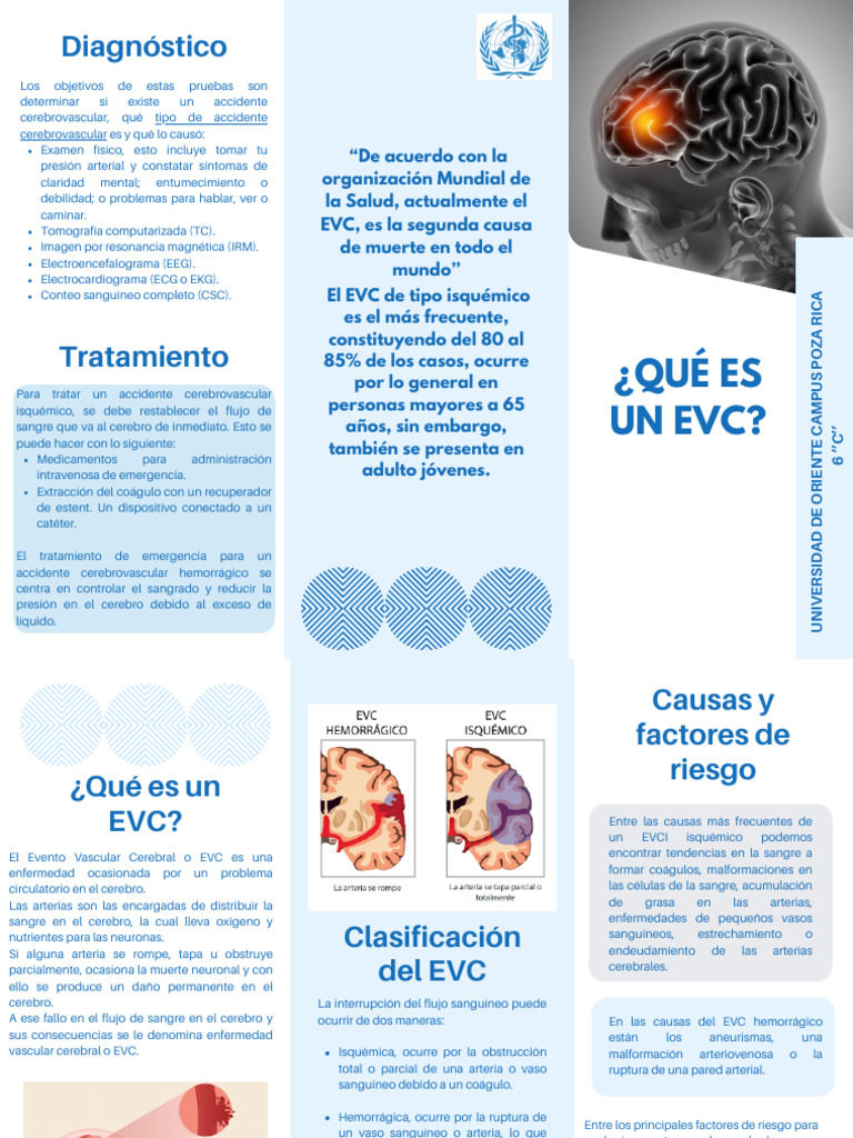 Triptico EVC | PDF | Carrera | Artería