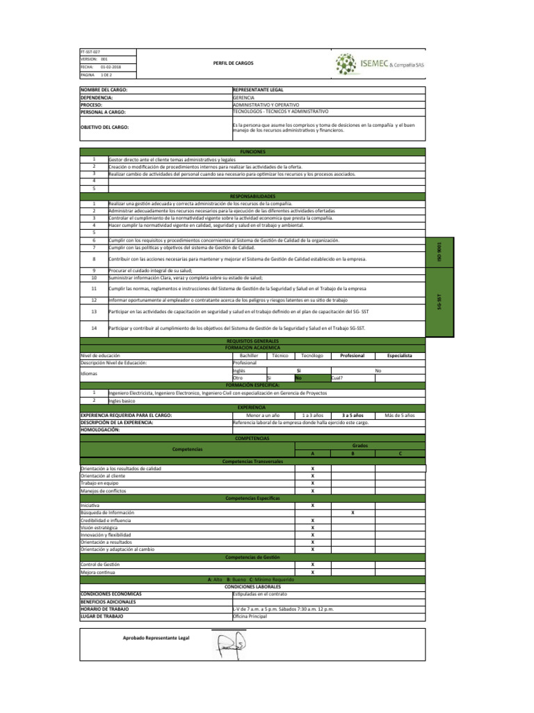Ft-sst-027 Formato de Cargos y Perfiles | PDF | Sistema de manejo de calidad | Calidad (comercial)