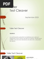 Test Cleaver: Evaluación Personal | PDF